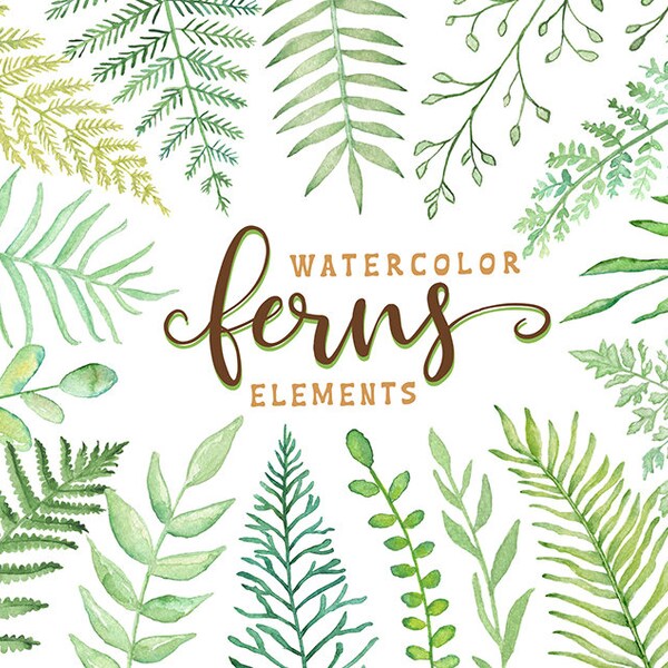 Watercolor Fern - Etsy