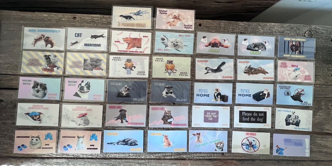 Fun Veterinary Cage Cards - Etsy