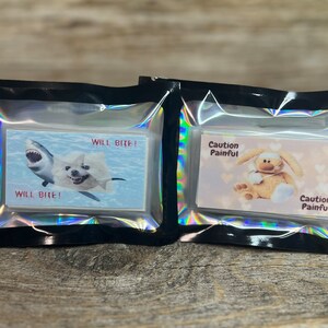 Fun Veterinary Cage Cards - Etsy