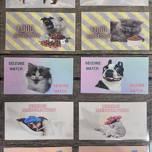 Fun Veterinary Cage Cards - Etsy