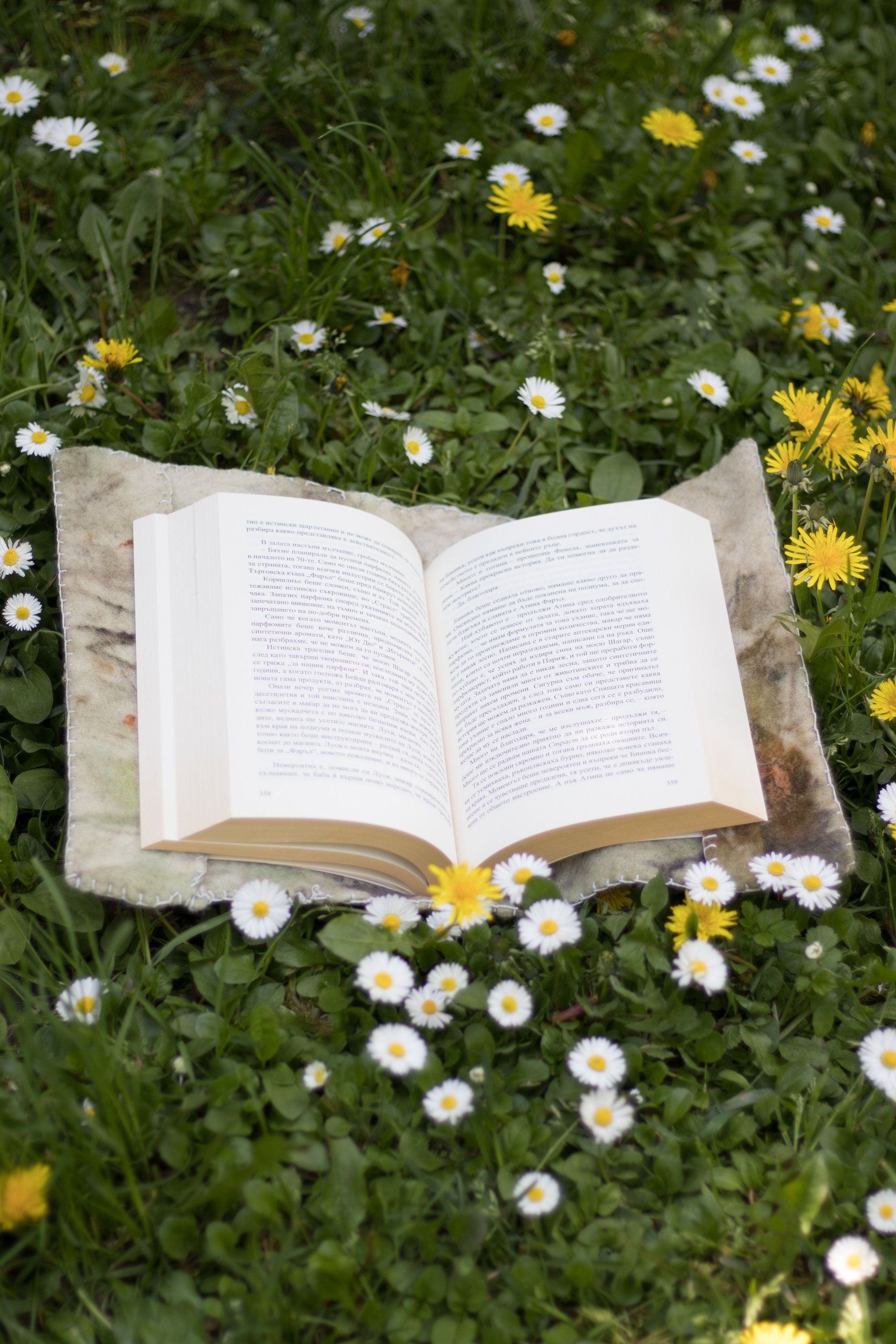 Hand Felted Book Cover for a Large Book Naturally Dyed Large - Etsy