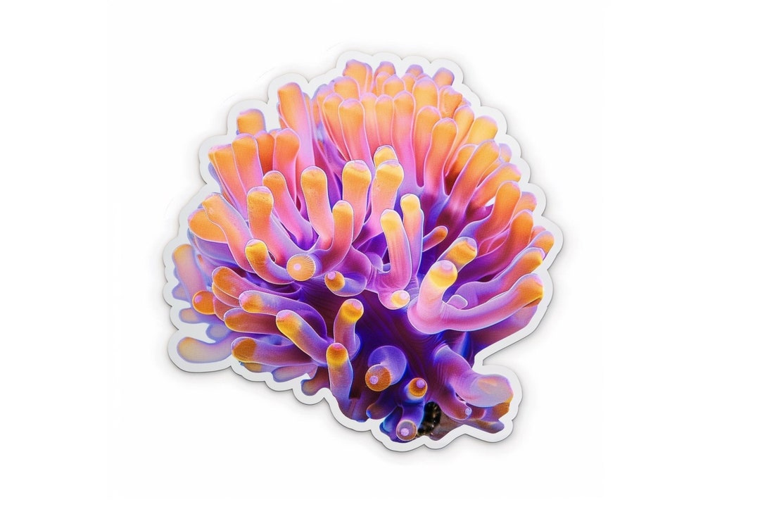 Coral Waterproof Sticker - Etsy