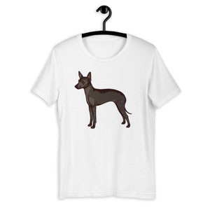 Xoloitzcuintle, Xolo Dog, Xolo Art, PNG, JPG, Mexican Hairless Dog ...