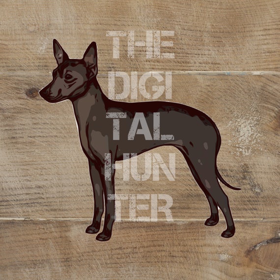 Xoloitzcuintle Xolo Dog Xolo Art PNG JPG Mexican Hairless - Etsy Canada