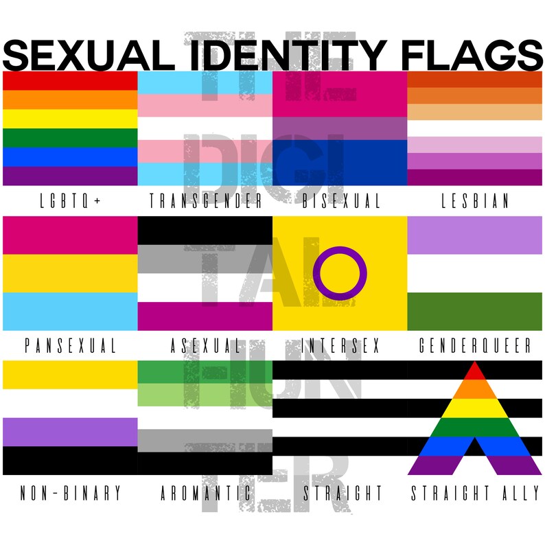 Straight Ally Flag PNG, Printable, Digital Download - Etsy