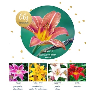 Handmade Pressed Flower Lily Heart Locket Necklace, Floral Sterling ...