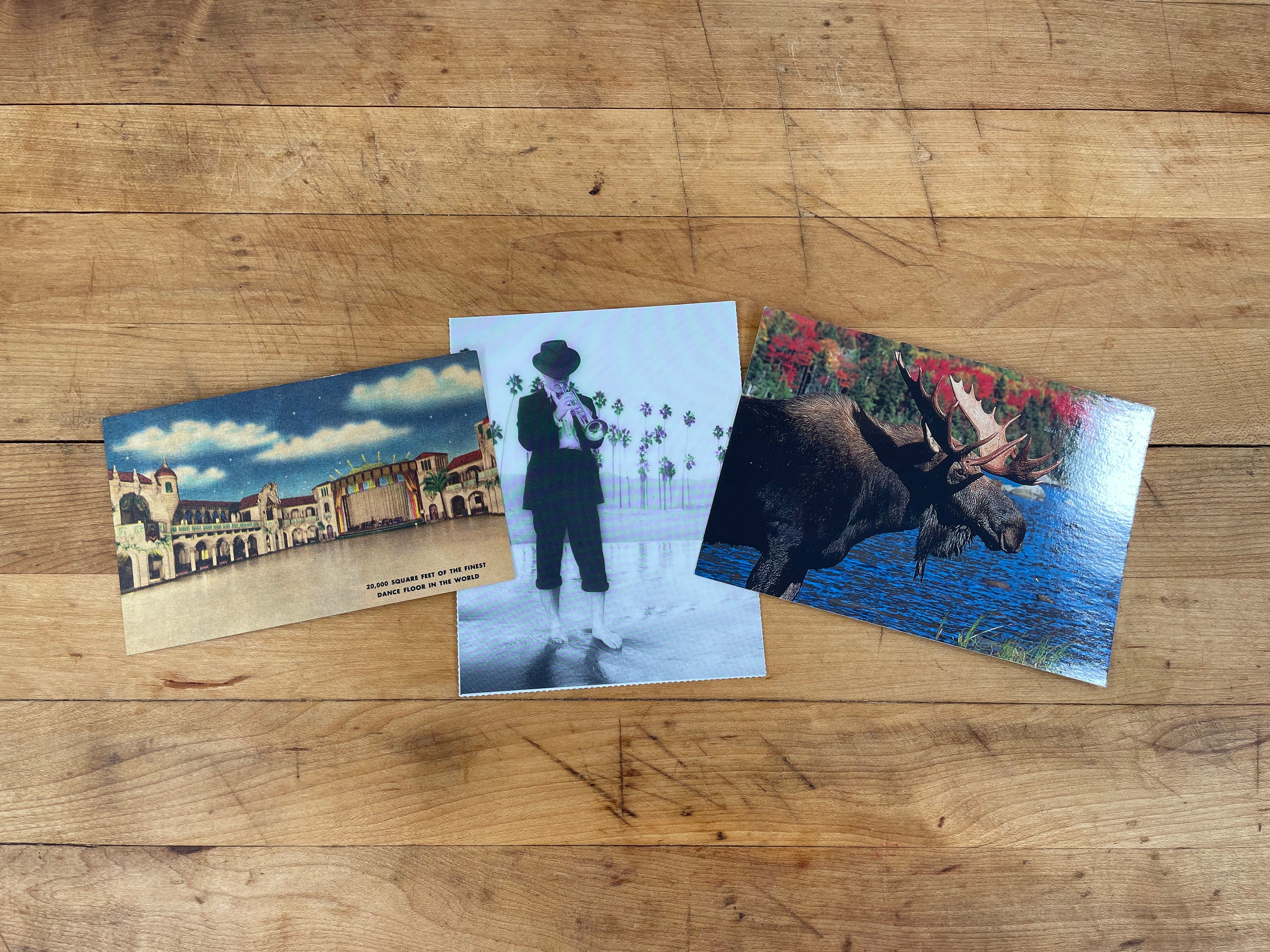 Set of 12 Vintage Unused Postcards from around the USA most | Etsy