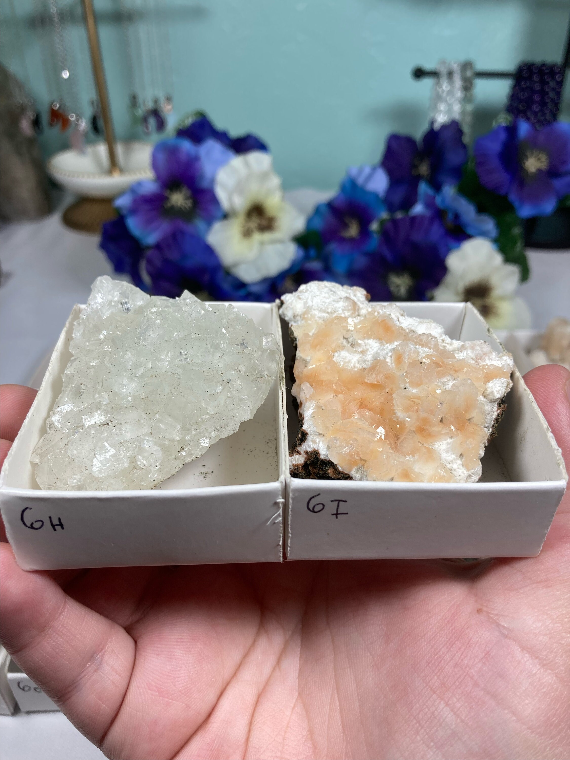 6 Dollar Zeolite Clusters | Zeolite Clusters | Apophyllite | Amethyst ...