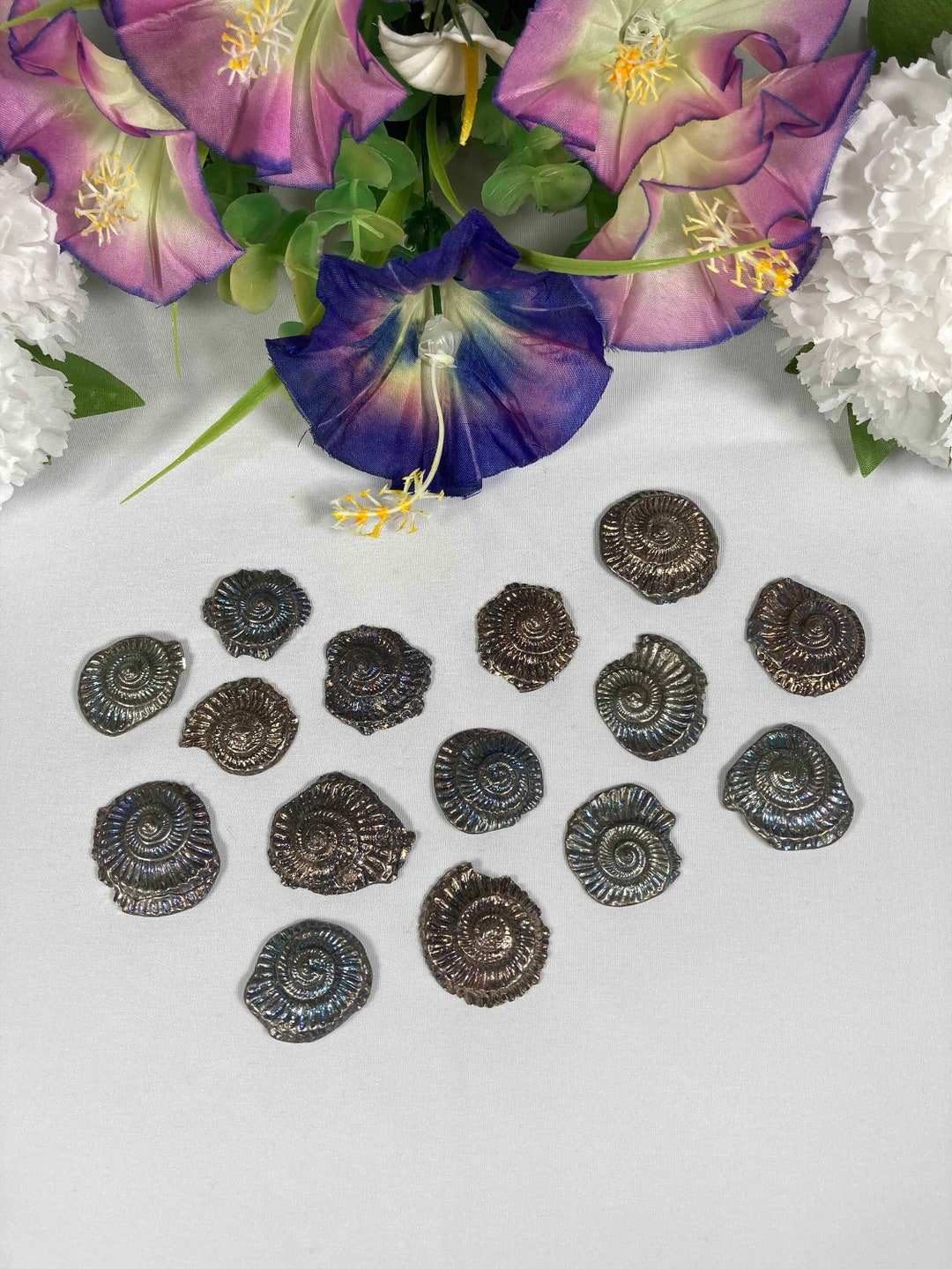 Bismuth Shell Carvings | Crystal Carvings | Shell Carvings | Ocean ...