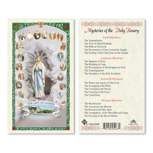 Our Lady of Lourdes - Twenty Mysteries of the Rosary Laminated Prayer ...