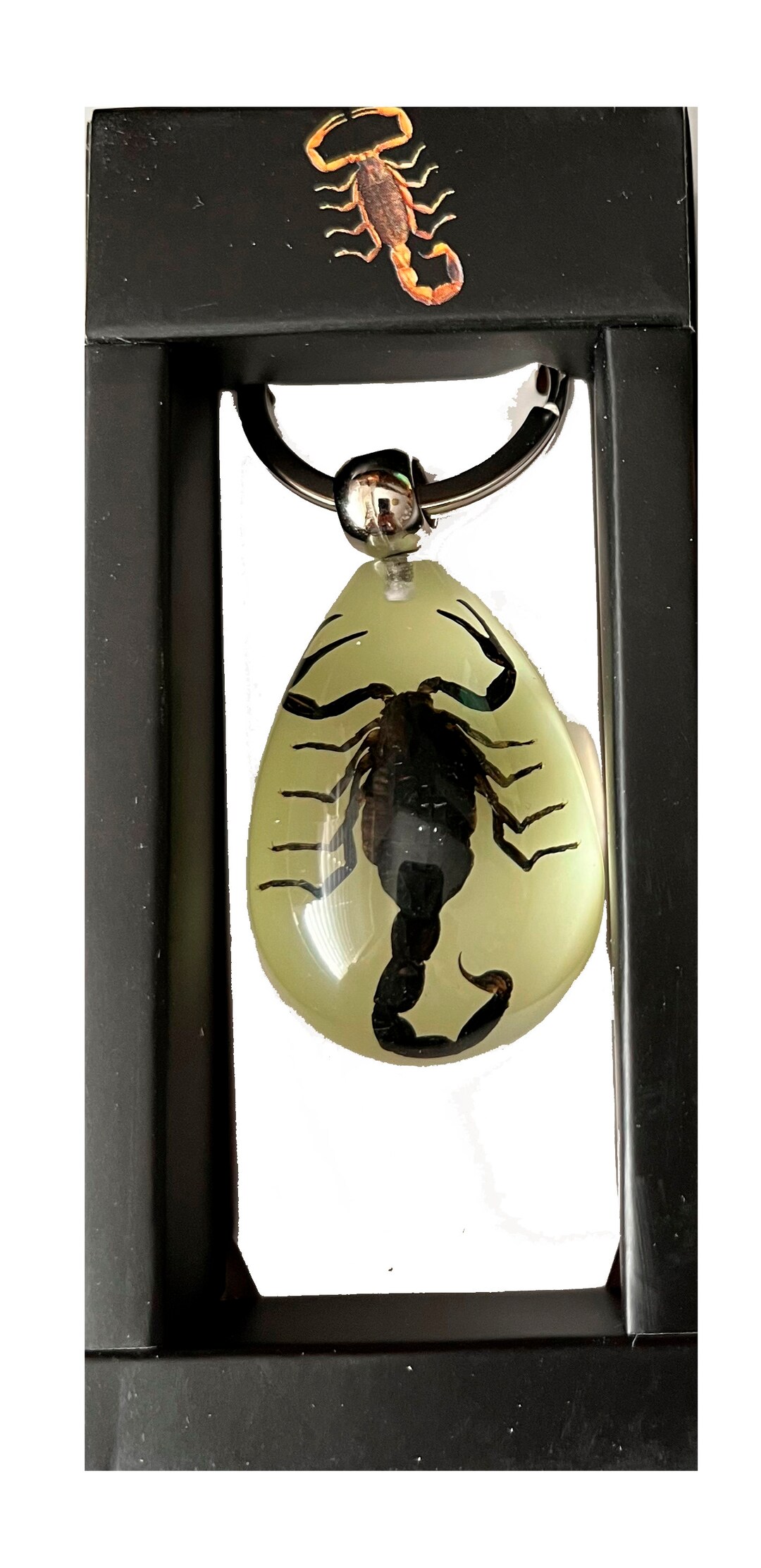 2 Scorpions Key Chain Glows in the Dark (black & Brown) - Etsy