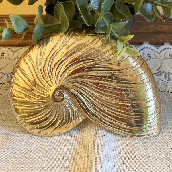 Shell Wall Decor - Etsy