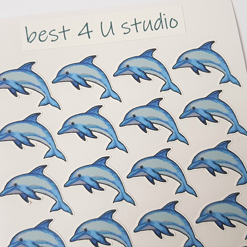 Dolphin Sticker - Etsy