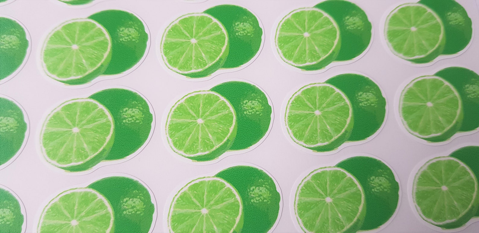 Lime Stickers Citrus Stickers Fruit Stickers Journal - Etsy