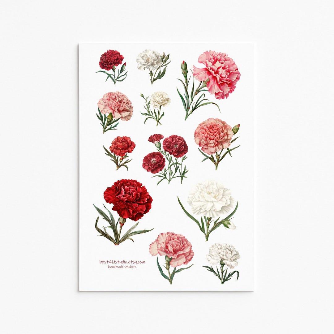 Elegant Carnation Stickers – Realistic Floral Decals for Crafting and ...