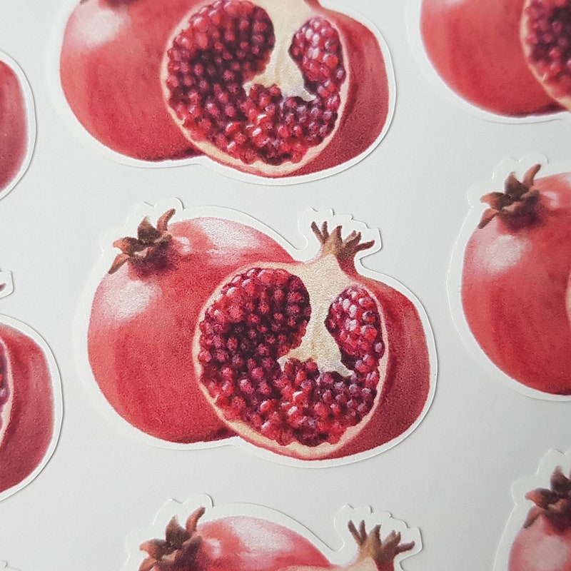 Pomegranate - Etsy