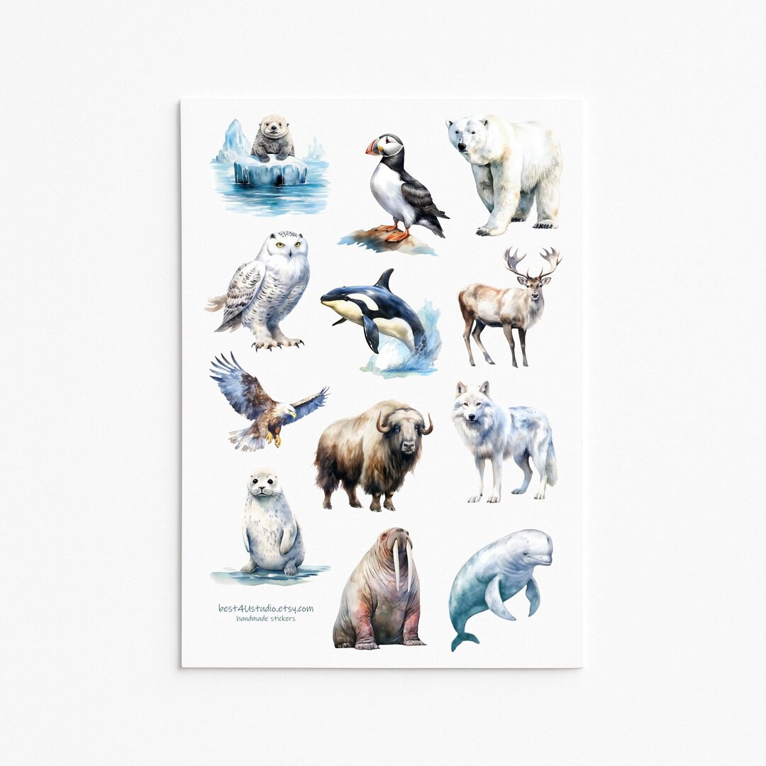 Arctic Animal Sticker Set – Polar Wildlife Stickers - Etsy
