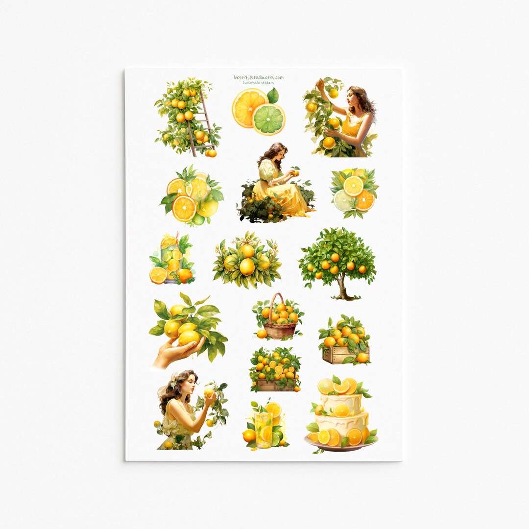 Citrus Fruit Stickers: Lemon & Orange Planner Stickers - Etsy