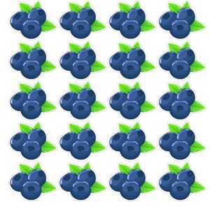 Blueberry Stickers, Berry Stickers, Fruit Decor Stickers, Planner ...