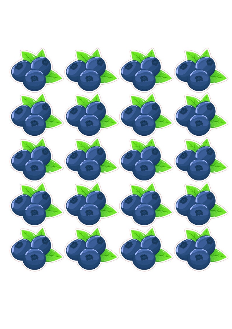 Blueberry Stickers: Fruit Decor, Planner Stickers - Etsy
