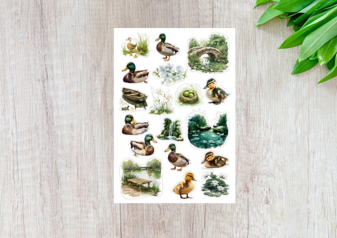 Duck Pond Stickers, Pond Life, Nature Sticker, Duck Illustration ...