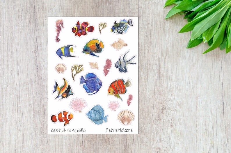 Fish Stickers Ocean Fish Colourful Fishes Party Stickers - Etsy