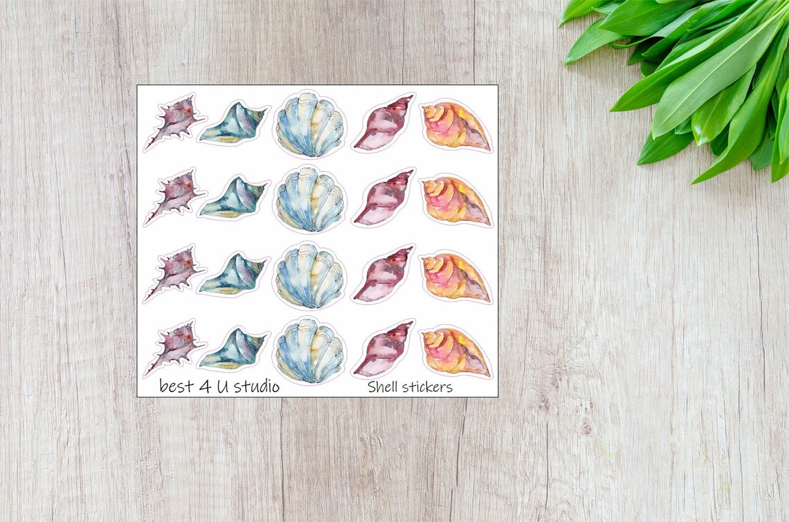 Seashell Stickers Shell Stickers Beach Stickers Planner - Etsy