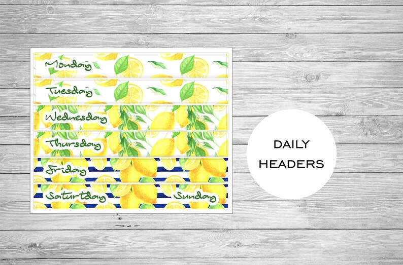 Lemon Stickers Functional Planner Stickers Citrus Stickers - Etsy
