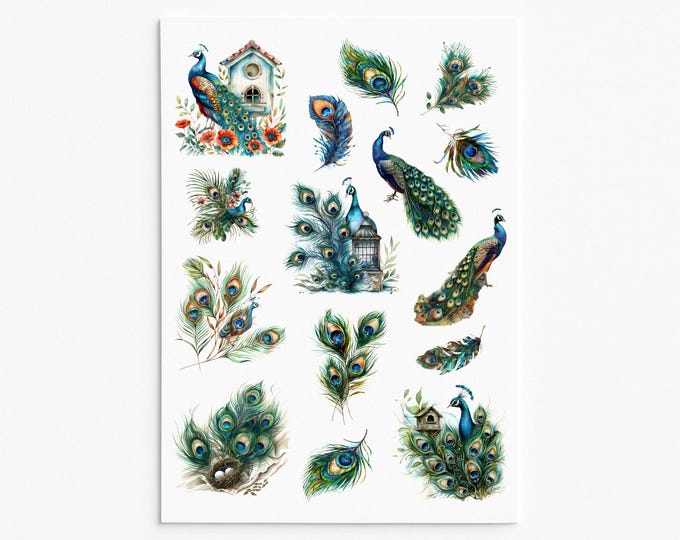 Peacock Wall Decal, Large Peacock Sticker, Peacock Decor, Bird Stickers ...