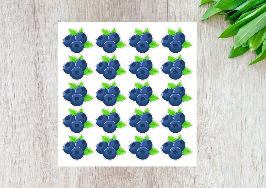 Blueberry Stickers, Berry Stickers, Fruit Decor Stickers, Planner ...