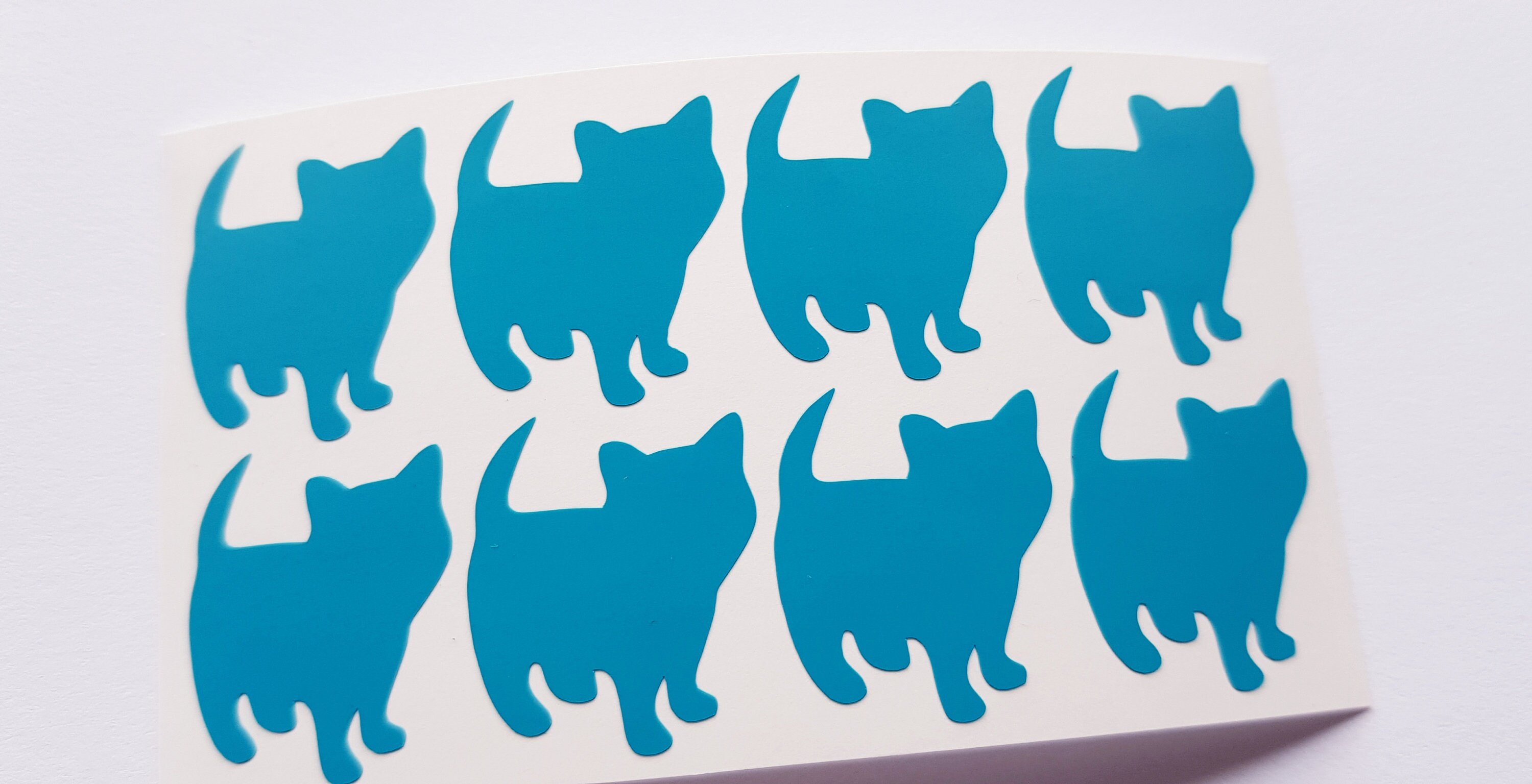 20 Baby Cat Birthday Party Favor Stickers - Etsy