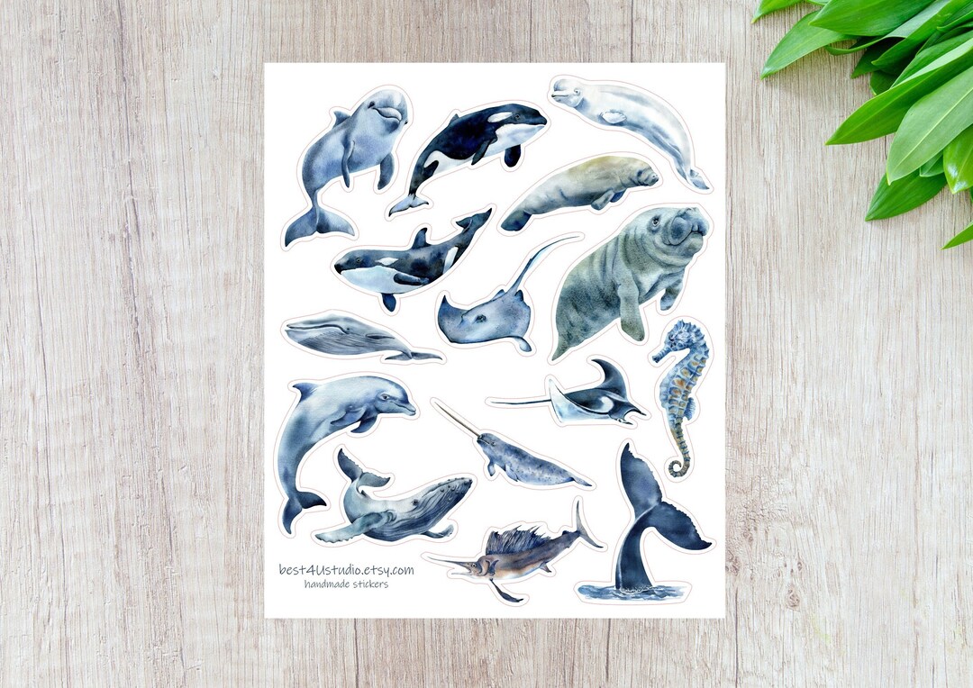 Ocean Animal Stickers, Sea Animals, Ocean Life Set, Dolphin Stickers ...