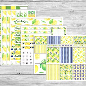 Lemon Stickers, Functional Planner Stickers, Citrus Stickers ...