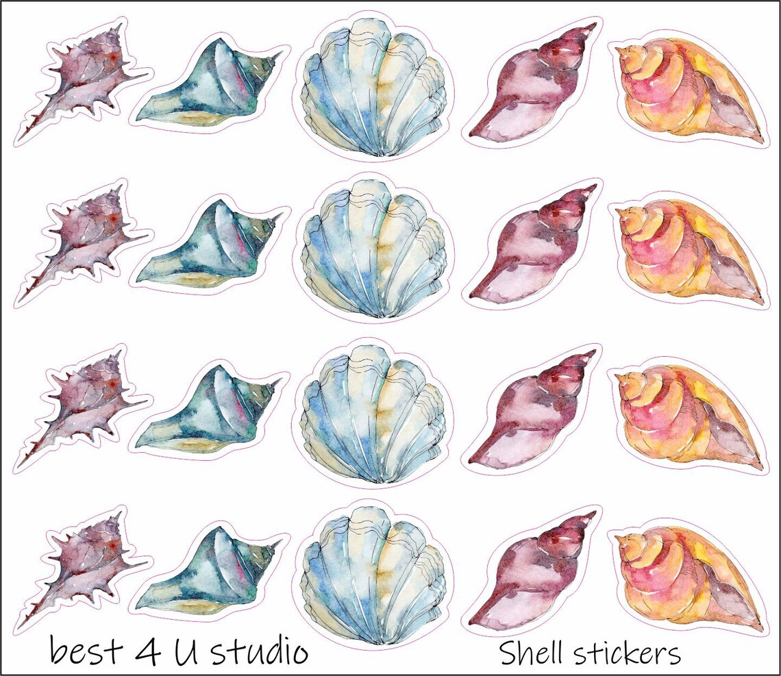Seashell Stickers Shell Stickers Beach Stickers Planner - Etsy