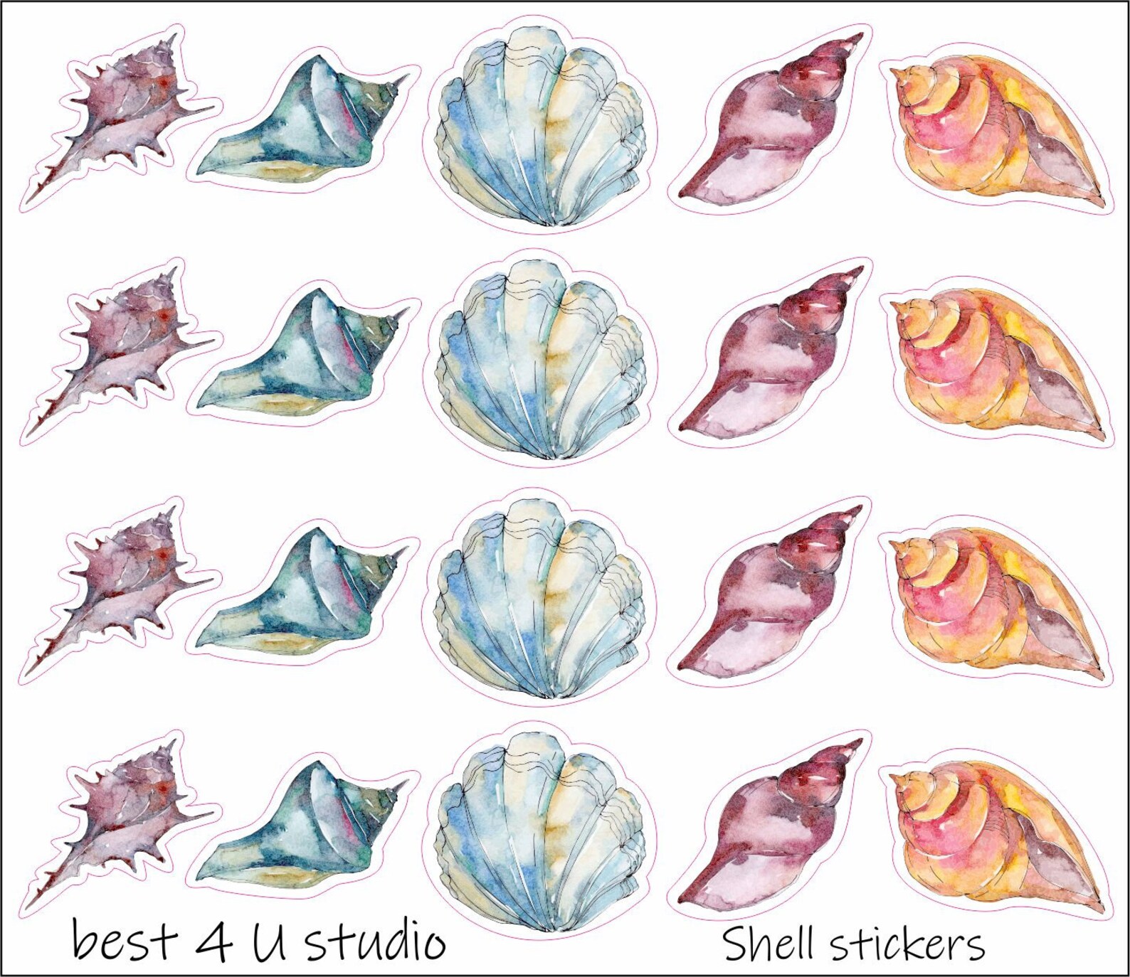 Seashell Stickers Shell Stickers Beach Stickers Planner - Etsy