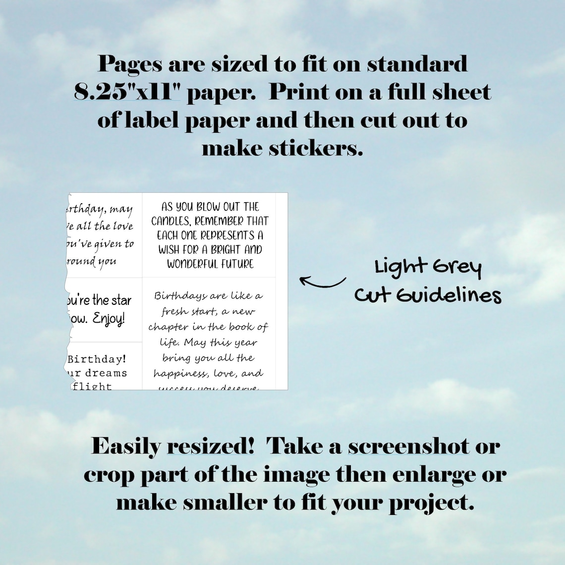 Funny Birthday Card Sentiments Humorous Card Greeting Inserts Card ...