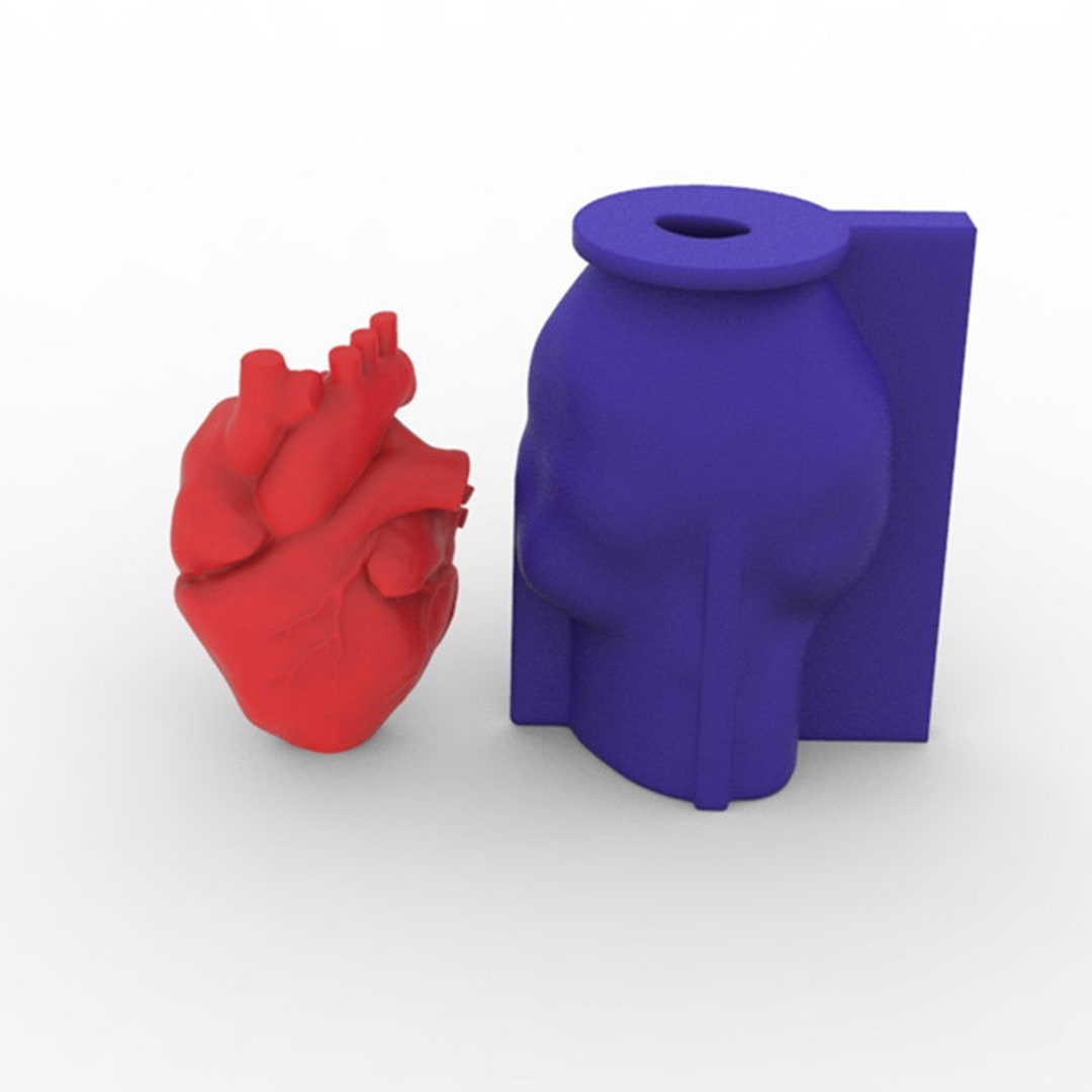 3D Organ Heart Silicone Mold Soap Mold Candle Mold Fondant Cake Mold ...