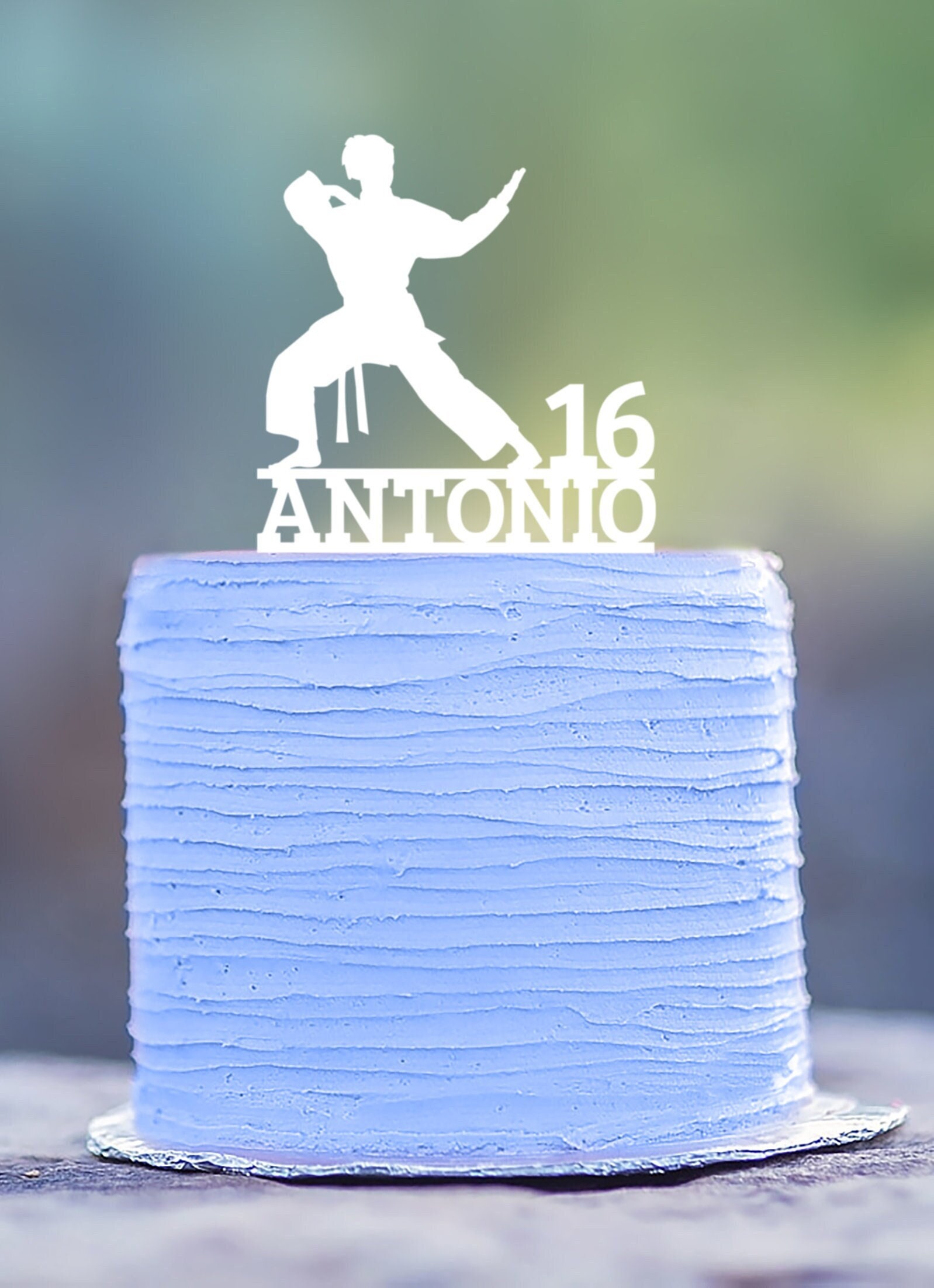 Karate Cake Topper Martial Arts Cake Topper Karate Cake | Etsy