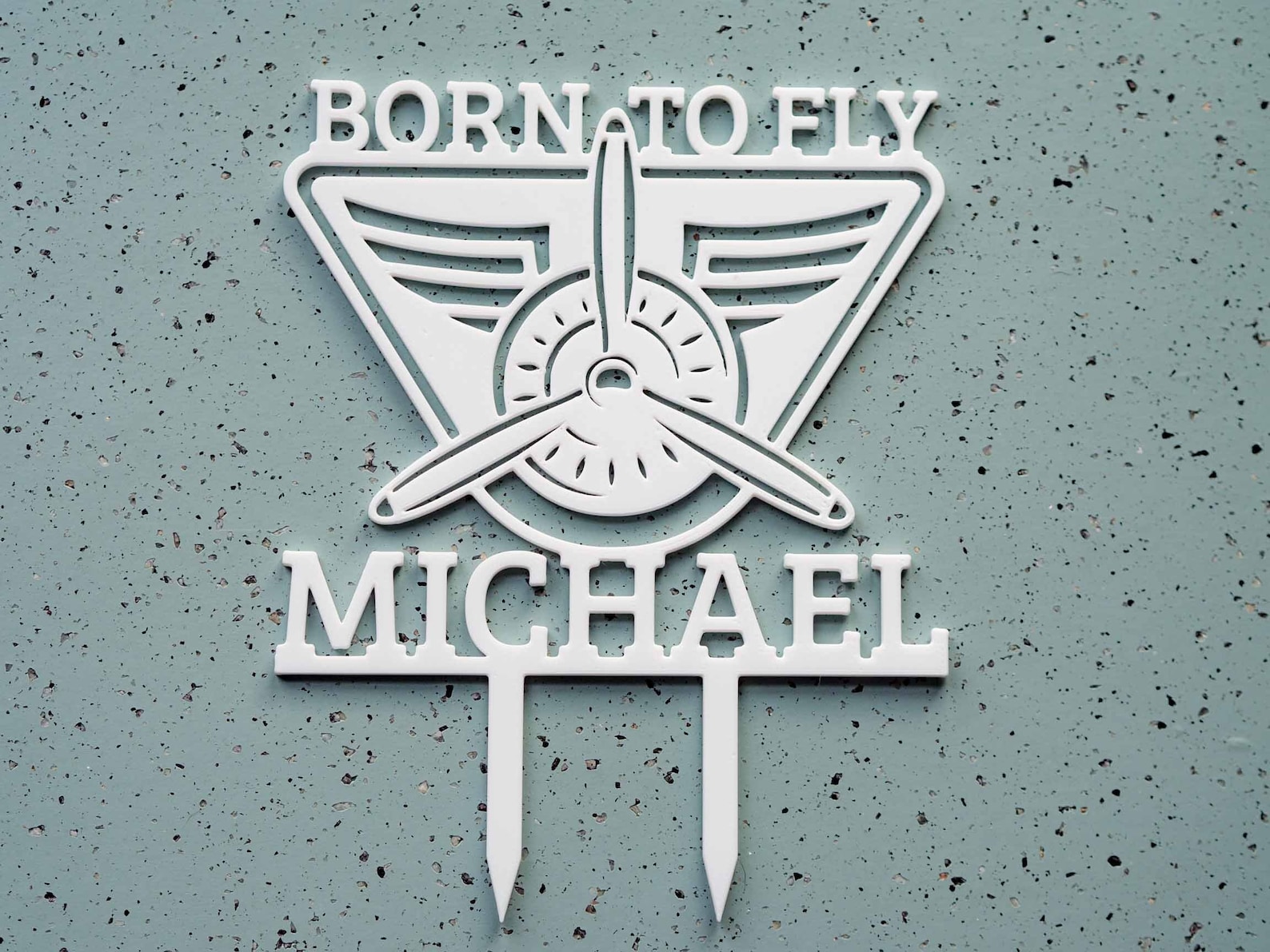 Personalized Airplane Cake Topper – Pilot & Cabin Crew Birthday ...
