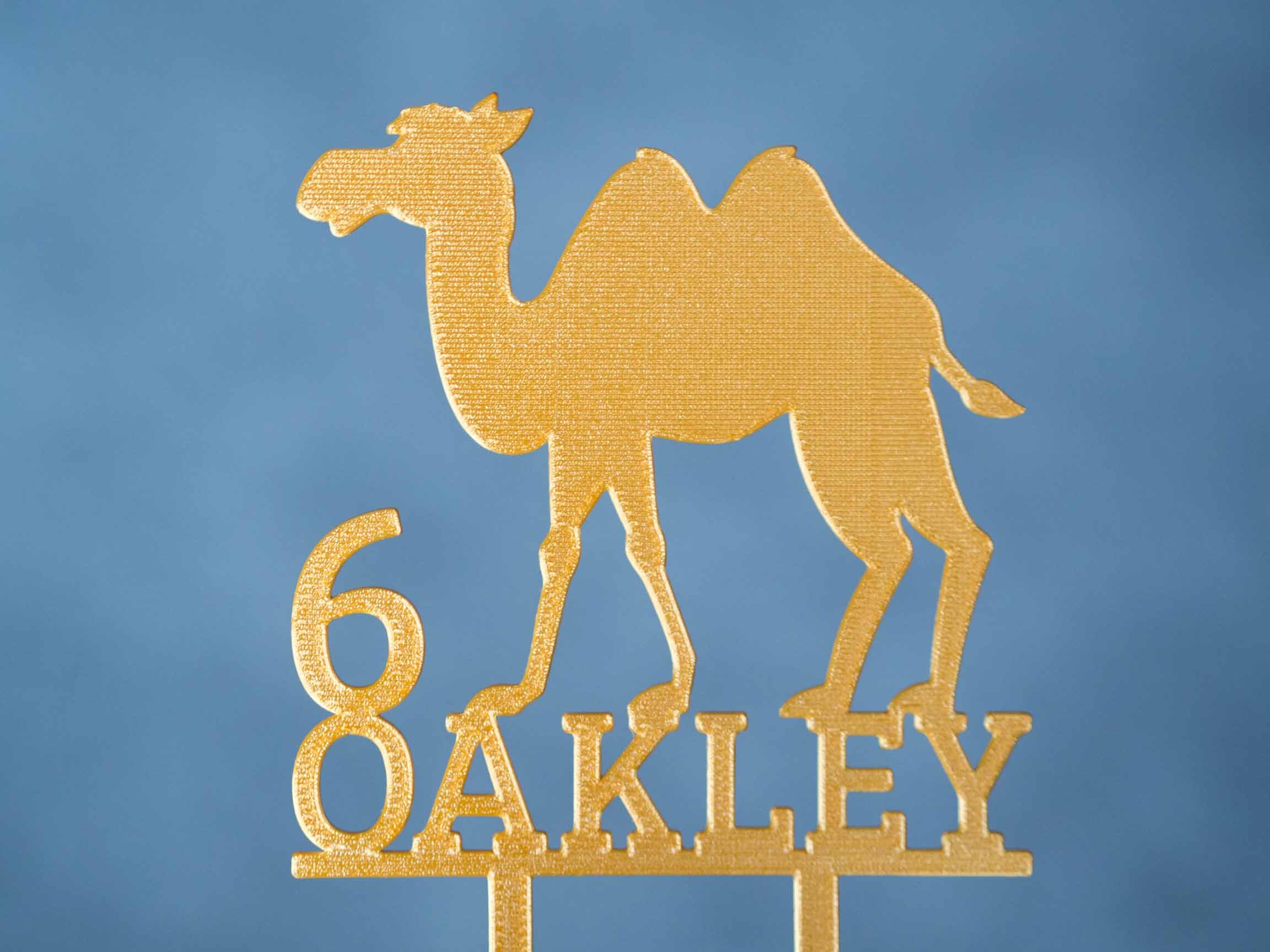 Camel Theme Party Decorations