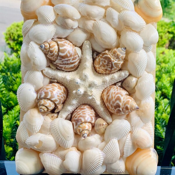 Starfish Decor - Etsy