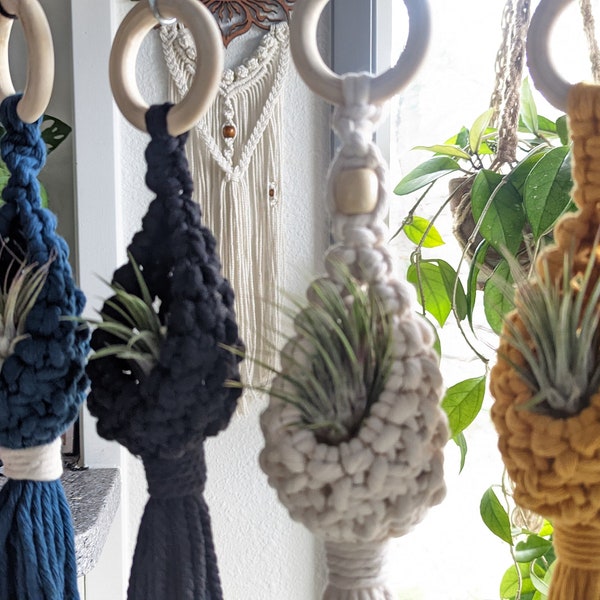 Air Plant Hanger - Etsy