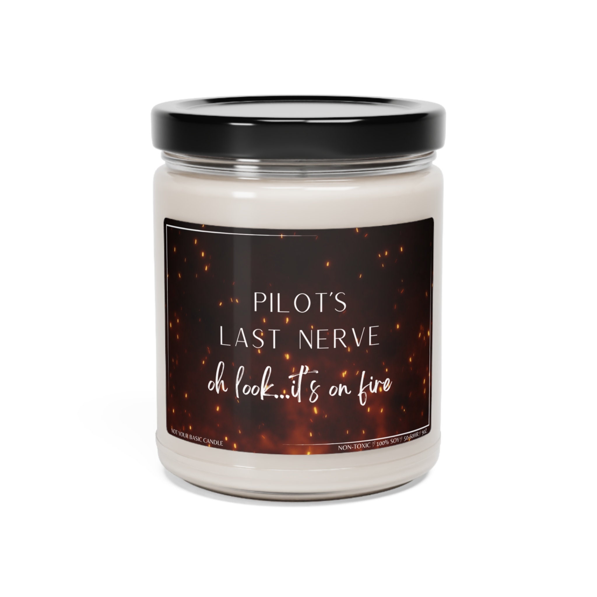 Pilot Candle Funny Candles Pilots Gift Pilot Appreciation Gift for ...