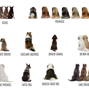 DOGS CLIPART - Dog Lover, Best Friends Dogs, Custom Breeds, Golden ...