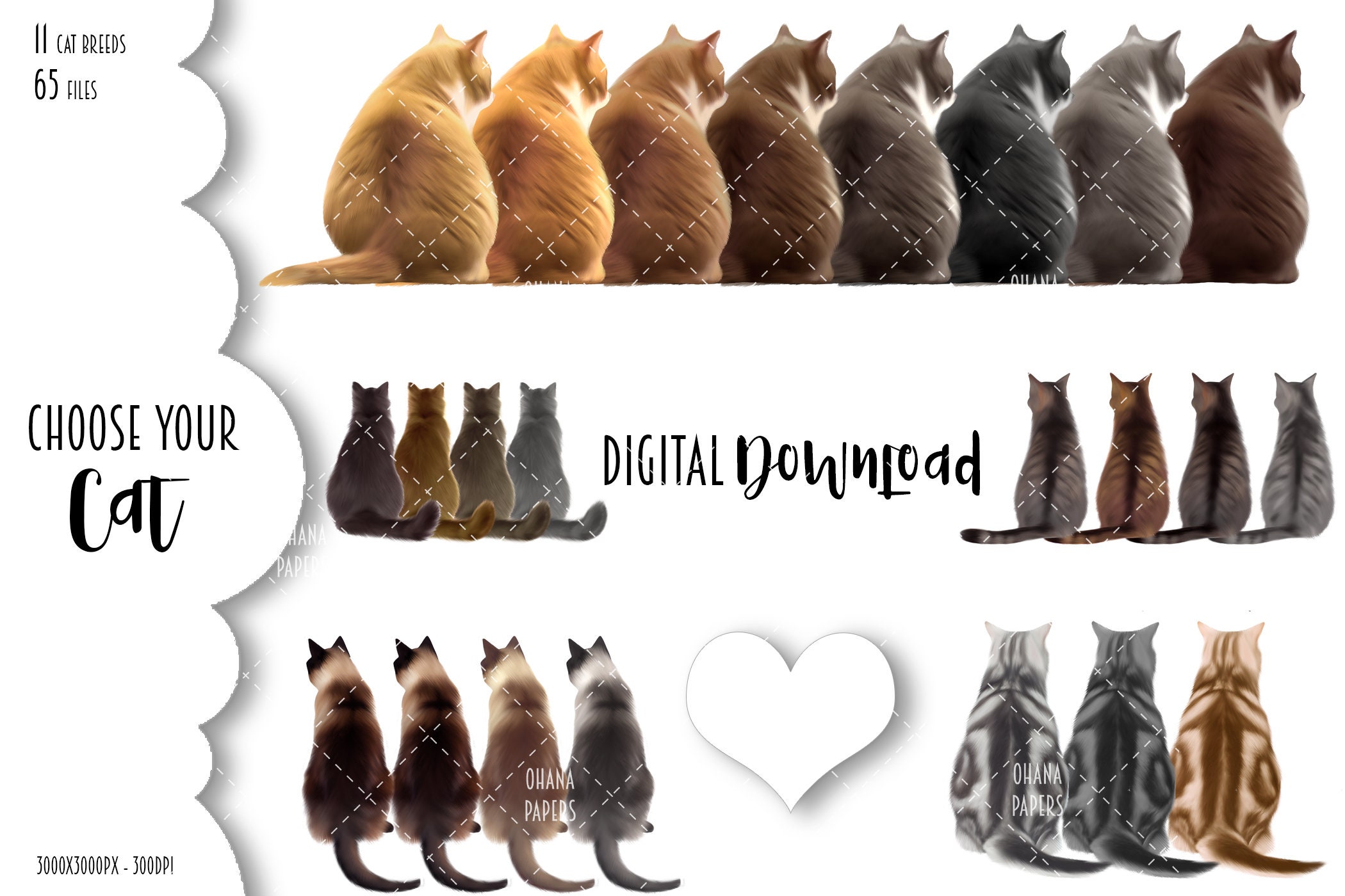 Cat Clipart Bundle: Cat Breeds - Mug Graphics for Cat Lovers, Planner ...
