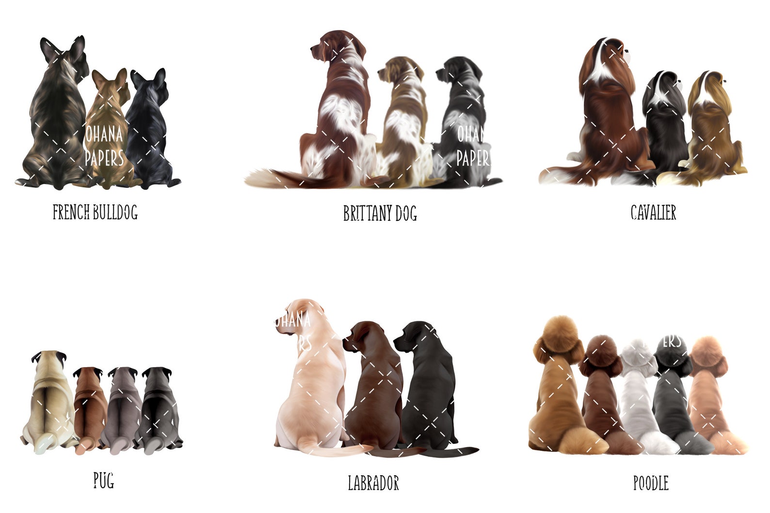 DOGS CLIPART Australian Shepherd Custom Dogs Back View - Etsy