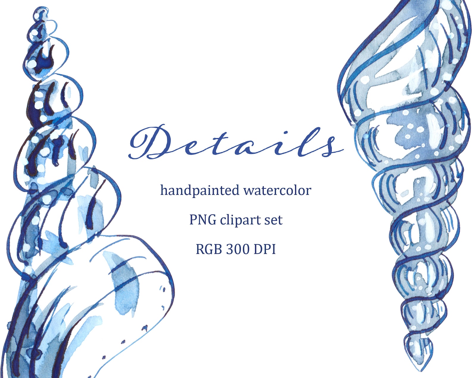 BLUE & BROWN SEASHELLS Watercolor Clipart Set With Shells and Starfish ...