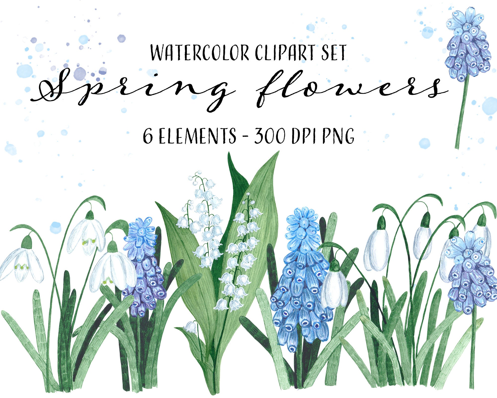 SPRING FLOWERS WATERCOLOR Clipart Set With Hyacinth,snowdrops, Lily of ...