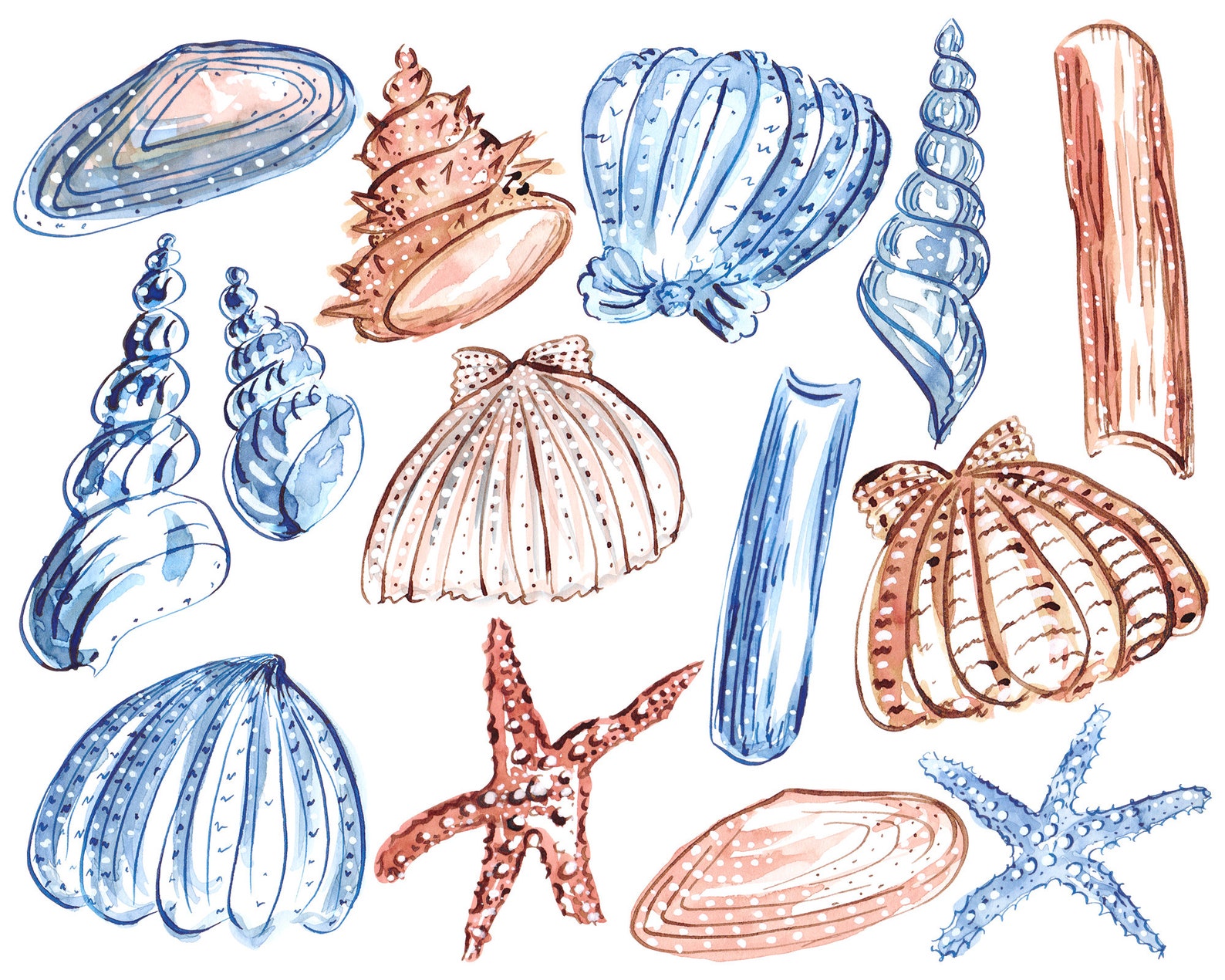 BLUE & BROWN SEASHELLS Watercolor Clipart Set With Shells and Starfish ...