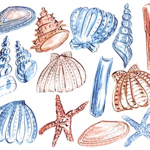 BLUE & BROWN SEASHELLS Watercolor Clipart Set With Shells and Starfish ...